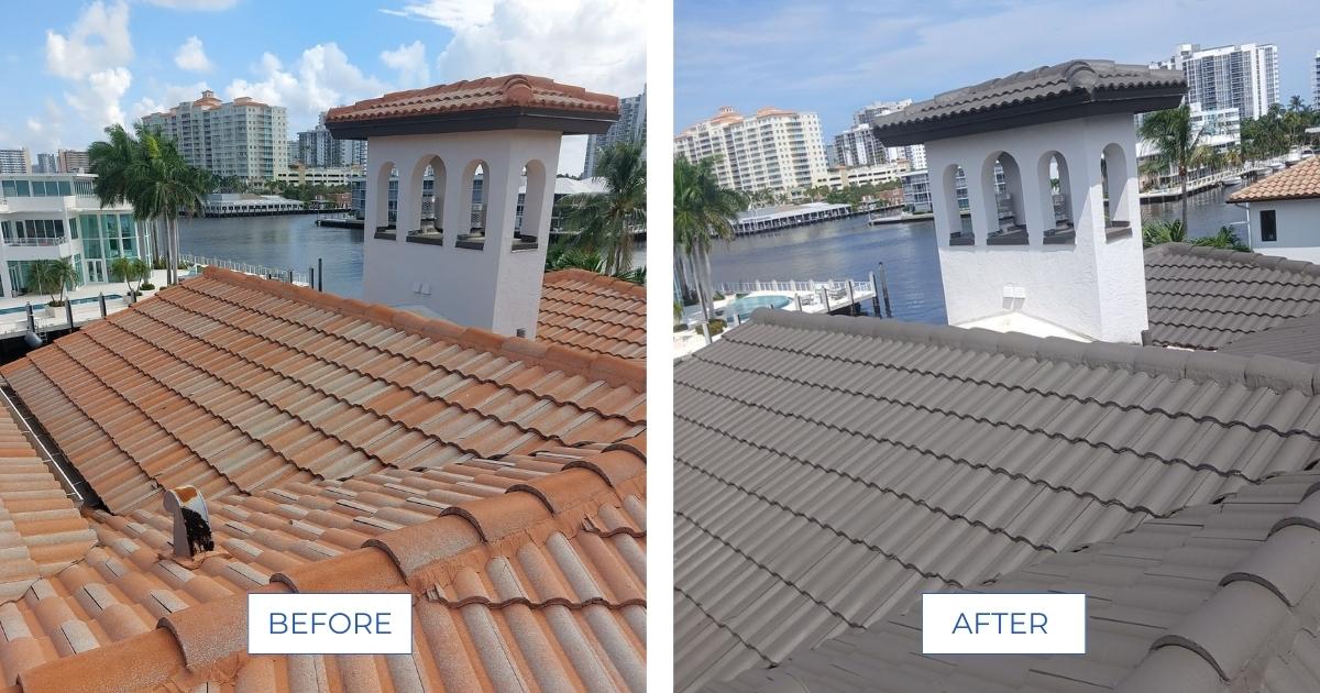 The Ultimate Guide to Roof Painting in South Florida - Tru Colors ...